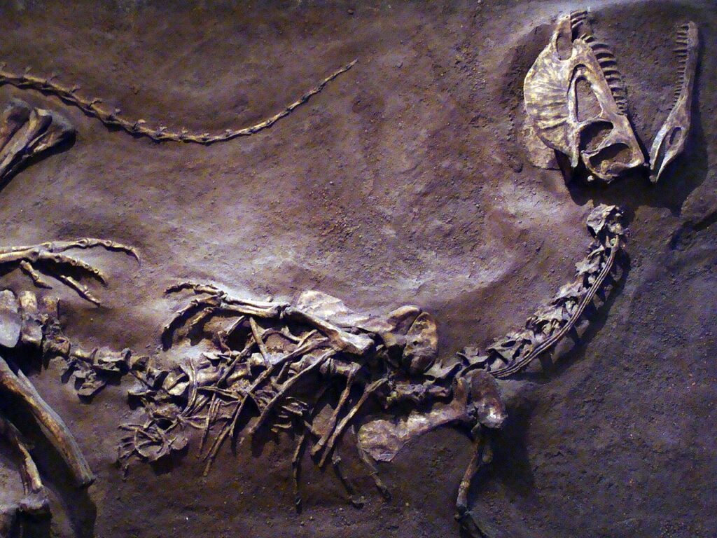 The Jurassic Period - Science and History Museum
